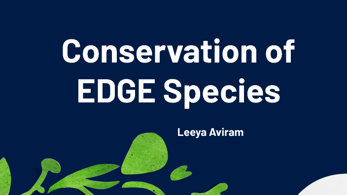 Conservation of EDGE Species by Leeya Aviram on Prezi