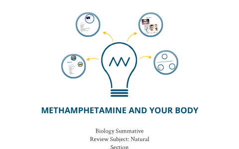 How Methamphetamine Affects The Body by Nima Hussein