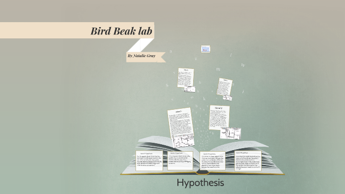 Bird Beak lab by Natalie Gray on Prezi