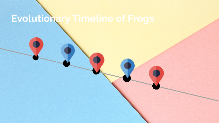Evolutionary Timeline of Frogs by Olivia Pedro on Prezi