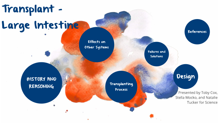 Large Intestine Transplant by Toby Cox on Prezi