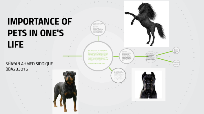 importance of pets in one's life by Sardar Shayan on Prezi