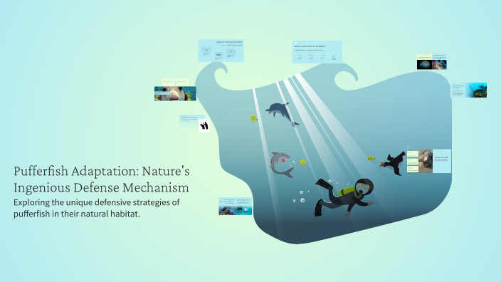 Pufferfish Adaptation: Nature's Ingenious Defense Mechanism by Brycen ...