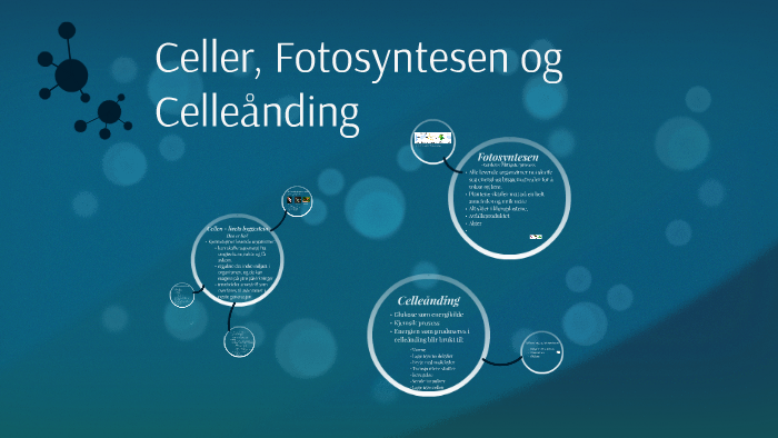 Celler, Fotosyntesen og Celleånding by inger sandvik on Prezi
