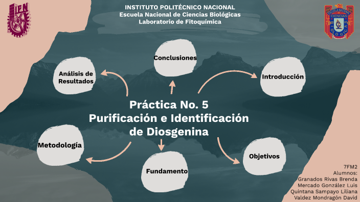 Práctica No. 5 Purificación e Identificación de Diosgenina by David ...