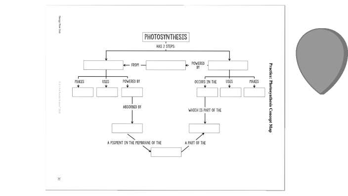 Cellular Respiration and Photosynthesis Graphic Organizers by Jacob ...