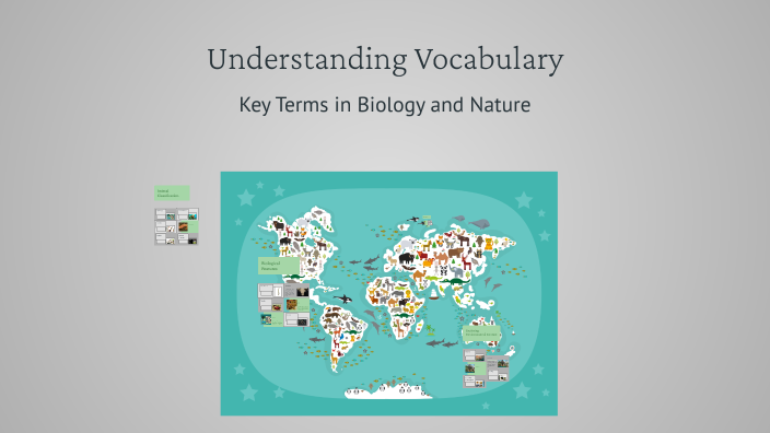 Understanding Vocabulary by tasneem s on Prezi