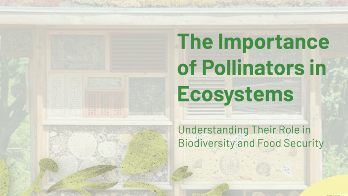 The Importance of Pollinators in Ecosystems by emilee begil on Prezi