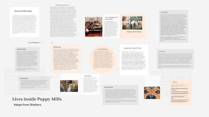Harsher Laws for Puppy Mills by Yaneli Carrillo on Prezi
