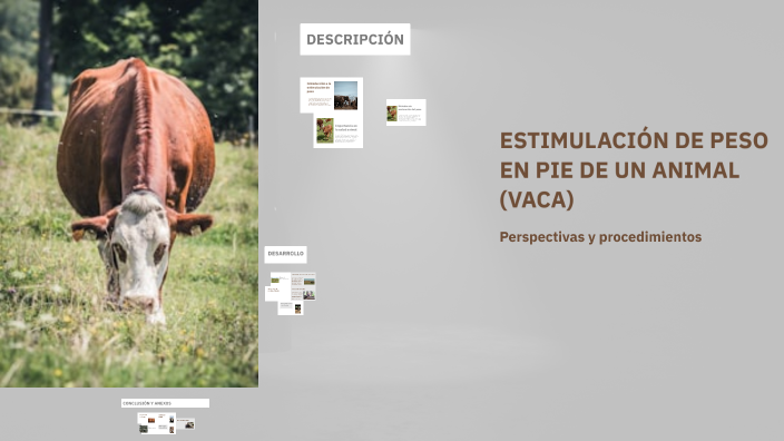 ESTIMULACIÓN DE PESO EN PIE DE UN ANIMAL (VACA) by Beimar Lopez on Prezi