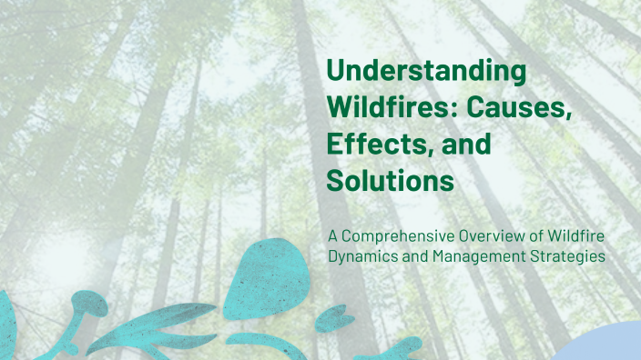 Understanding Wildfires: Causes, Effects, and Solutions by Batuhan ...