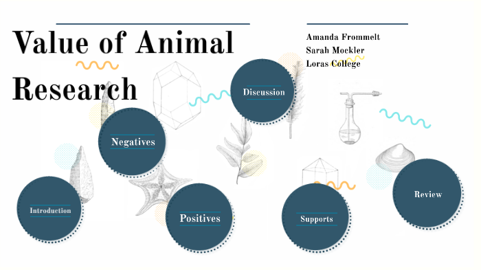 Pro Animal Research by Amanda Frommelt on Prezi