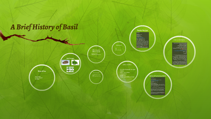 A Brief History of Basil by Jose Benitez on Prezi
