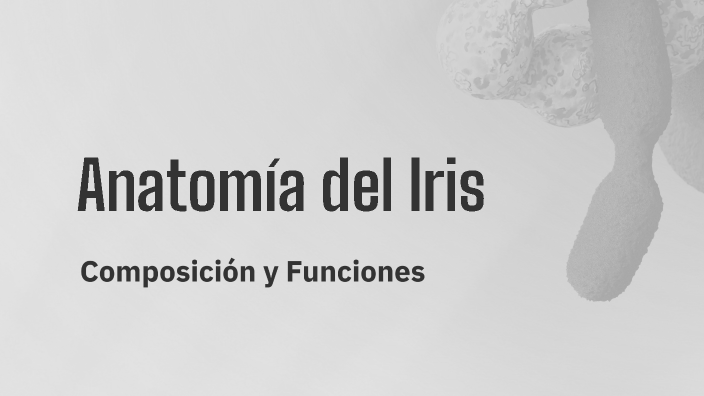 Anatomía del Iris by Richard on Prezi