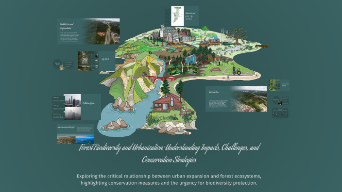 Forest Biodiversity and Urbanization: Understanding Impacts, Challenges ...