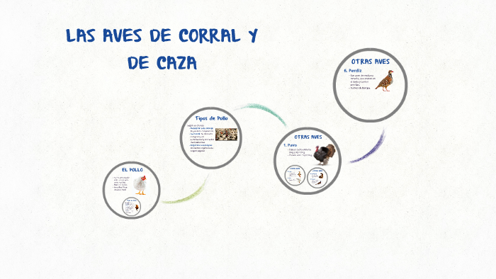 LAS AVES DE CORRAL Y DE CAZA by José Casapia on Prezi