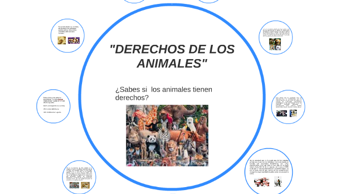DERECHO DE LOS ANIMALES by María Isabel Abundiz Martínez on Prezi