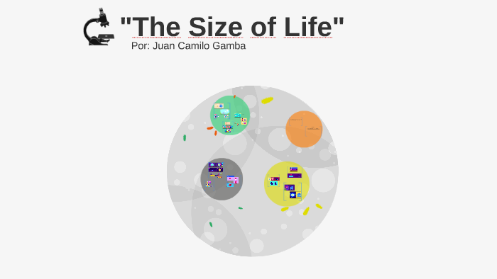 The Size of Life by juan gamba on Prezi