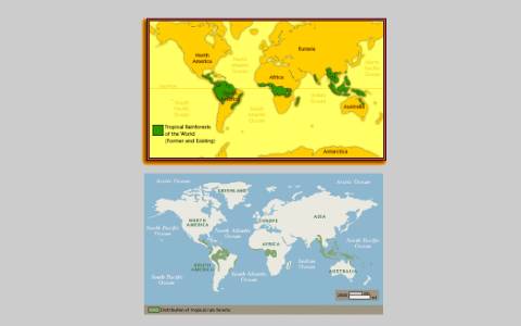 Rainforest Changes by a b on Prezi