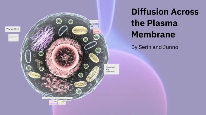 Diffusion Across the Plasma Membrane by Serin Park on Prezi