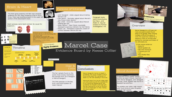 Marcel Case Evidence Board by Reese Collier on Prezi