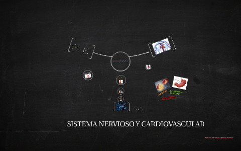 SISTEMA NERVIOSO Y CARDIOVASCULAR by Valeria Loya on Prezi