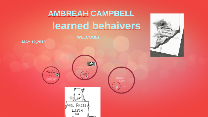 Behaiver learnied day by day by harmonee williams on Prezi