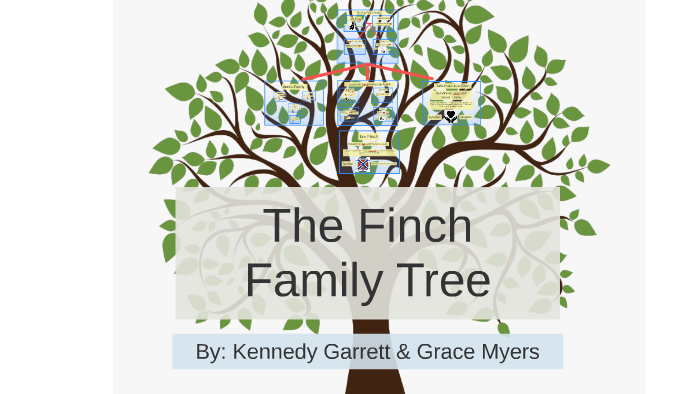 The Finch Family Tree by Kennedy Garrett on Prezi