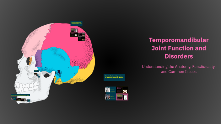 Temporomandibular Joint Function and Disorders by Andy GoHeR on Prezi