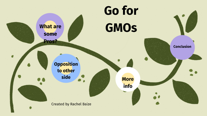 Rachel Baize by Rachel Baize on Prezi