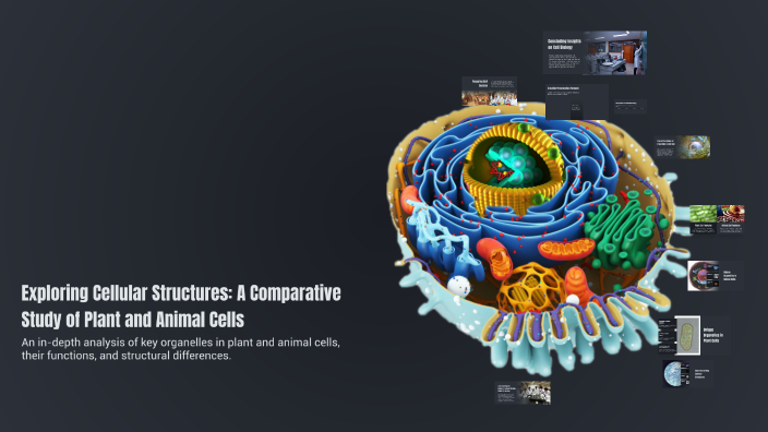 Exploring Cellular Structures: A Comparative Study of Plant and Animal ...