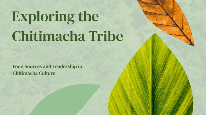 Chitimacha Tribe: A Cultural Exploration by Lacie Lake on Prezi