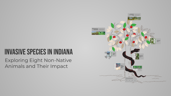 Invasive Species in Indiana by Cristobal Gonzalez on Prezi