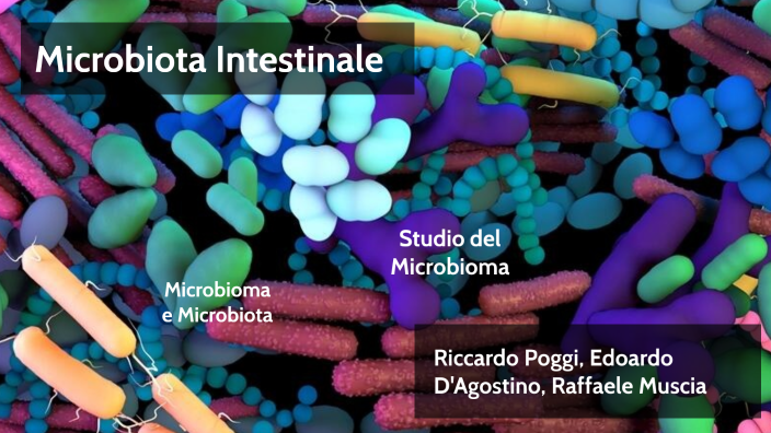 Microbiota Intestinale by BlockBusters23 on Prezi
