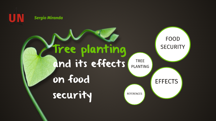 Tree planting and its eddects on food security by Laura Miranda on Prezi