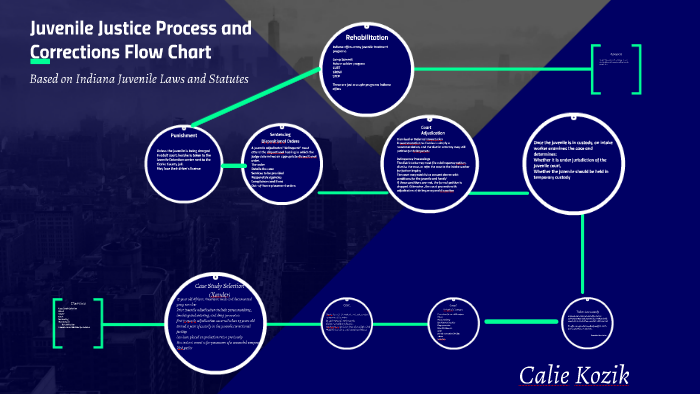 Juvenile Justice Process and Corrections Flow Chart by calie kozik on Prezi
