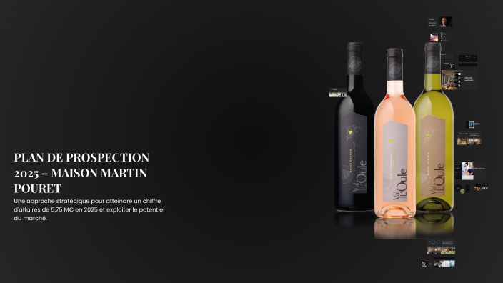 PLAN DE PROSPECTION 2025 – MAISON MARTIN POURET by malik dione on Prezi