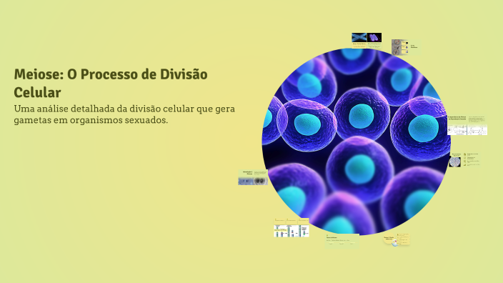 Meiose: O Processo de Divisão Celular by Beatriz Mudra on Prezi