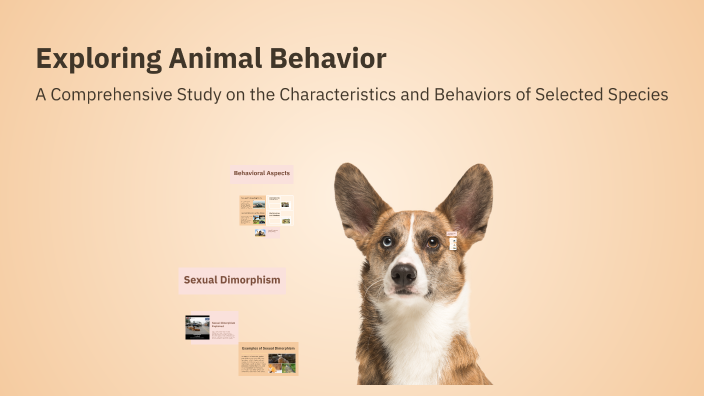Exploring Animal Behavior by logan riebe on Prezi