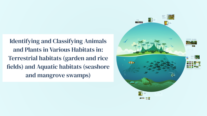 Identifying and Classifying Animals and Plants in Various Habitats by ...