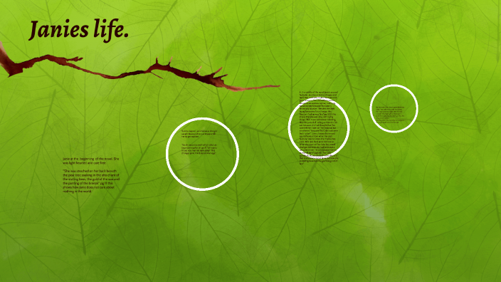 janie life by ethan rocha on Prezi