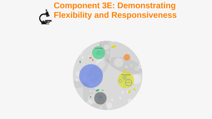 Component 3E: Demonstrating Flexibility and Responsiveness by Shawn'ta ...