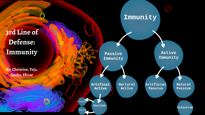3rd Line of Defense: Immunity by Tejaswini Karlapalem on Prezi