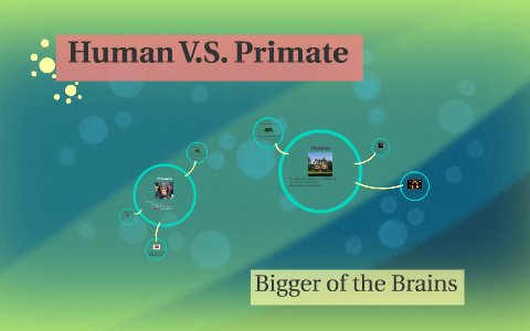 Human V.S. Primate Brains by K.R. Hall on Prezi