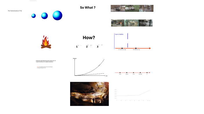 Domestication of Fire by Elezi Brikeno on Prezi