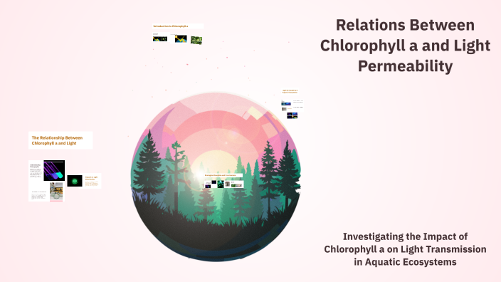 Relations Between Chlorophyll a and Light Permeability by Yana ...