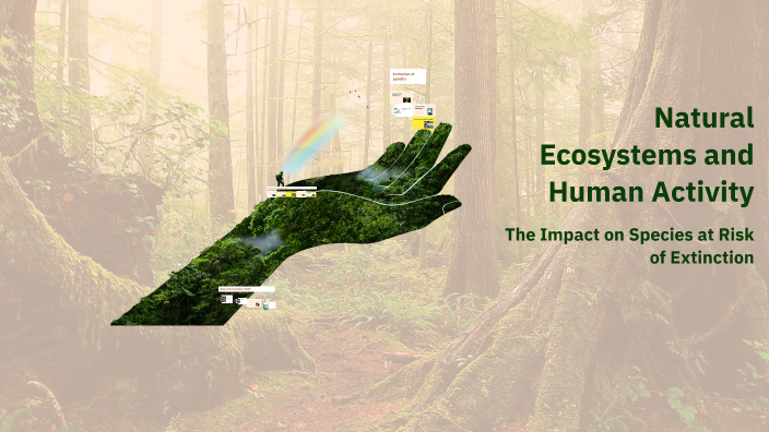 Natural Ecosystems and Human Activity by Celine Chu on Prezi