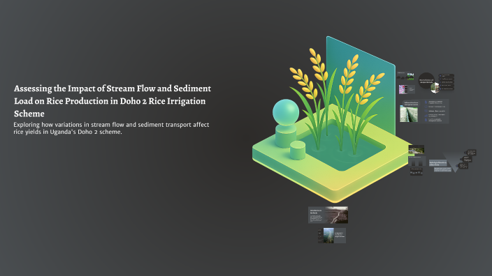 Assessing the Impact of Stream Flow and Sediment Load on Rice ...