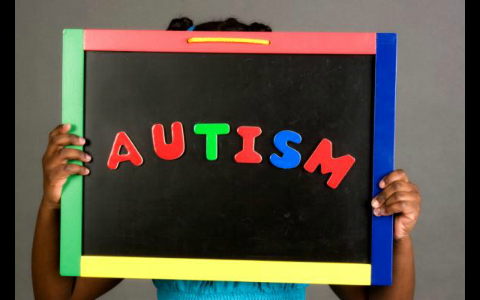 Autism Presentation by Sandy Uppal on Prezi