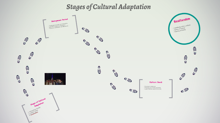 Stages of Cultural Adaptation by Max Nelson on Prezi